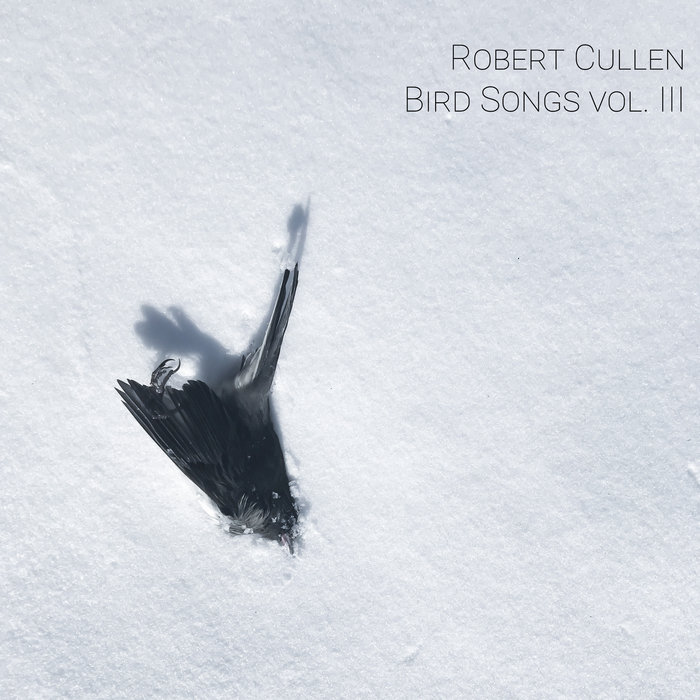 The Empty Lot | Robert Cullen
