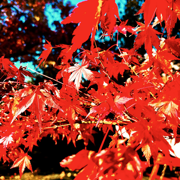Loop of Life | Mark J Gardiner