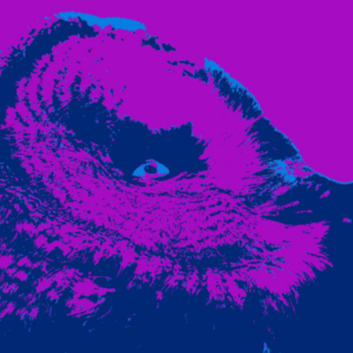Moloko Ep [digital Release] Choum Moloko