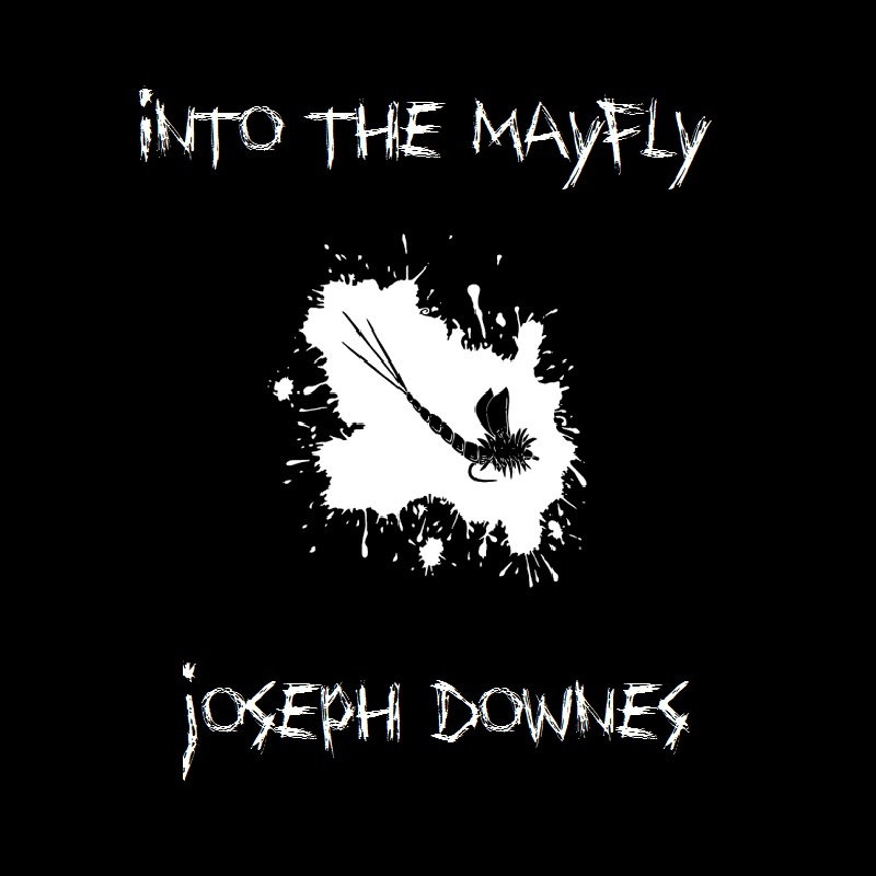 Into the Mayfly [Demo] | Joseph Downes