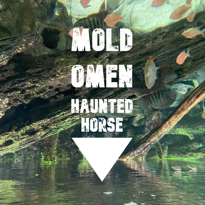 Haunted Horse | Mold Omen | zeromoon
