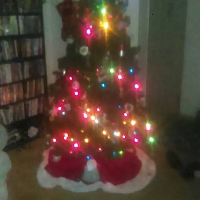 Rudolph The Red Nose Reindeer | The Rinke Family | Jason Rinke