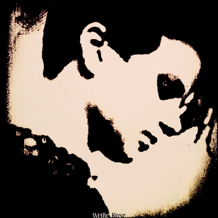 Weiße Rose | Divergent Artists