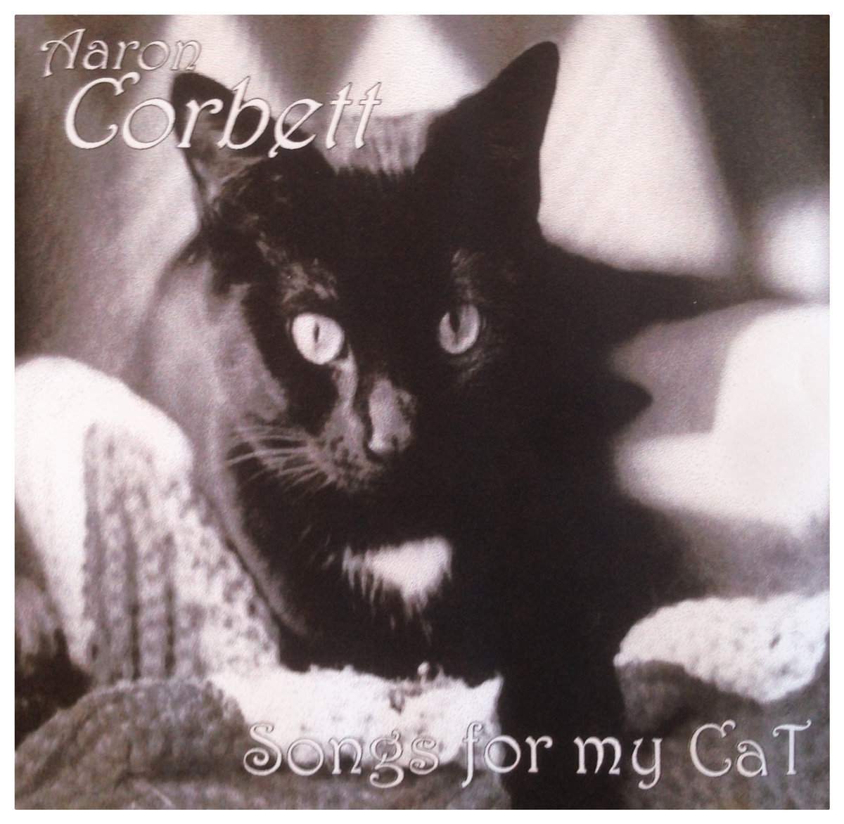 Songs for my Cat | Aaron Corbett | Airport