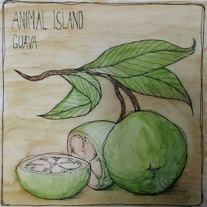 Guava | Animal Island