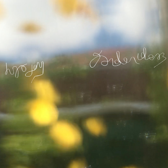 garden ideas | hugo jay