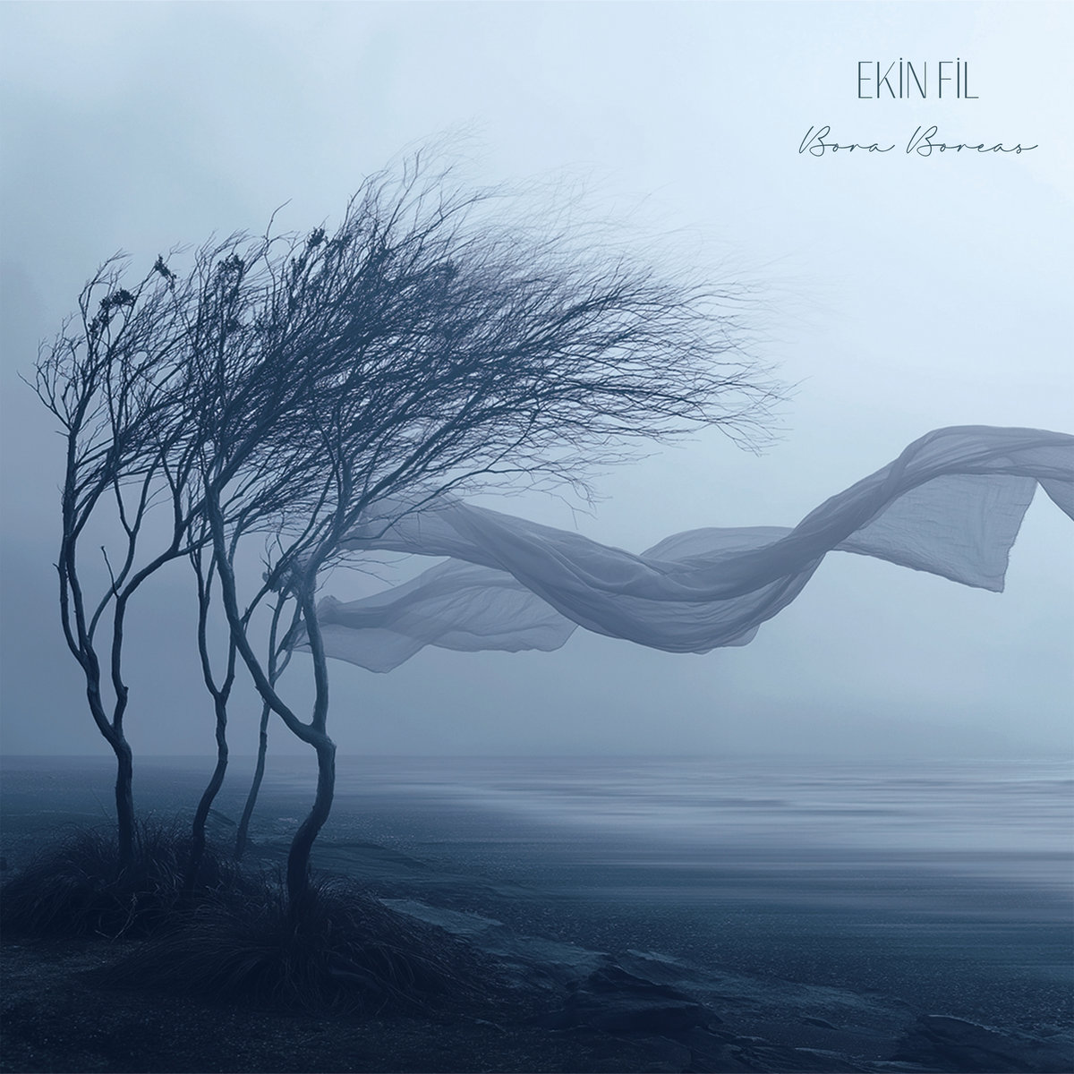 Bora Boreas | Ekin Fil | DRONARIVM