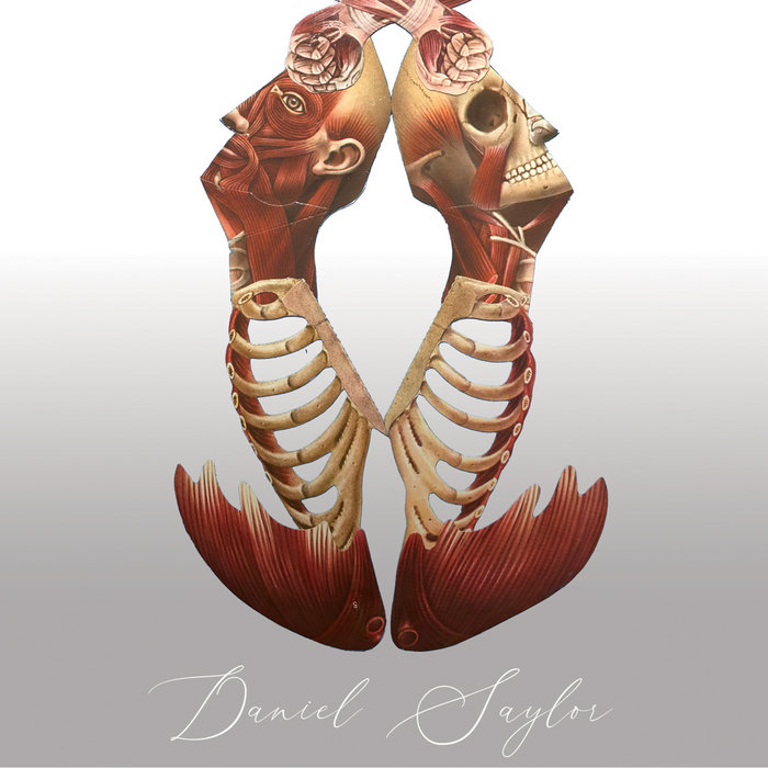 Plastic Present | Daniel Saylor