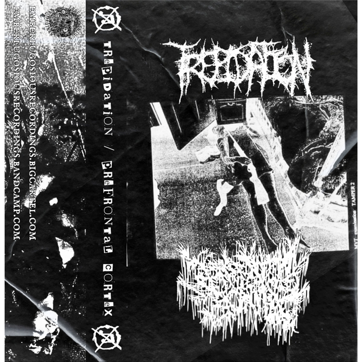 Trepidation x Prefrontal Cortex | Trepidation, Prefrontal Cortex ...