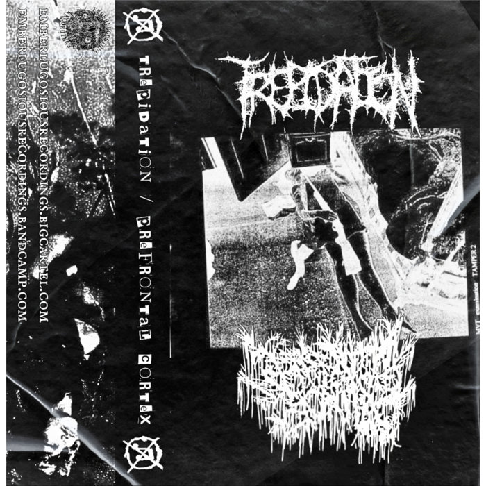 Trepidation x Prefrontal Cortex | Trepidation, Prefrontal Cortex ...