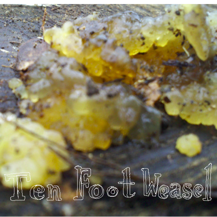 Ten Foot Weasel | Ordinary Wizard | Truthbrush and the Wisdom Teeth