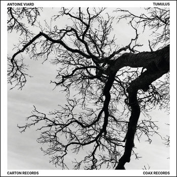 Music | CARTON RECORDS