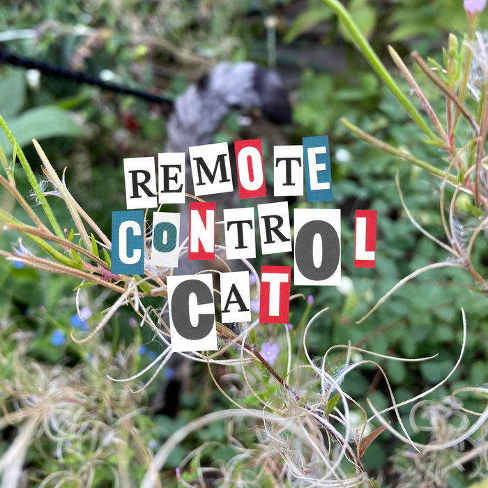 Remote Control Cat | Remote Control Cat