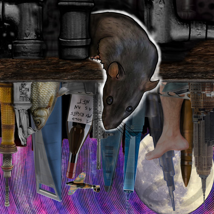 Looking Down From Up Below | Citizen Rat