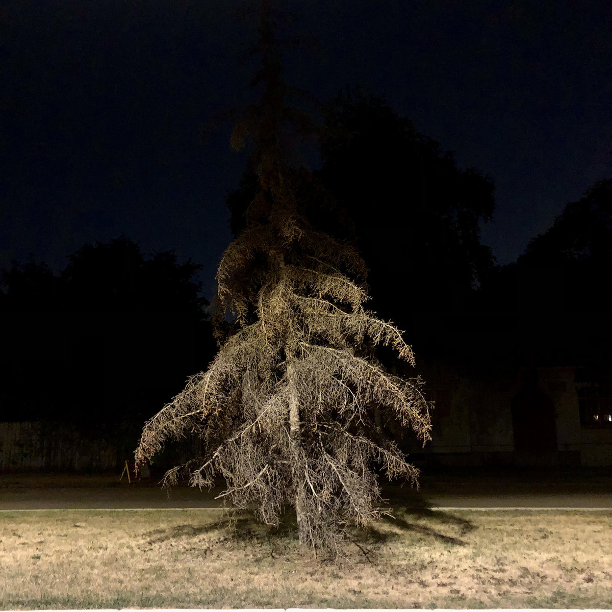 Steve Bates - The Year I Floated in Space - Manual for a New ...