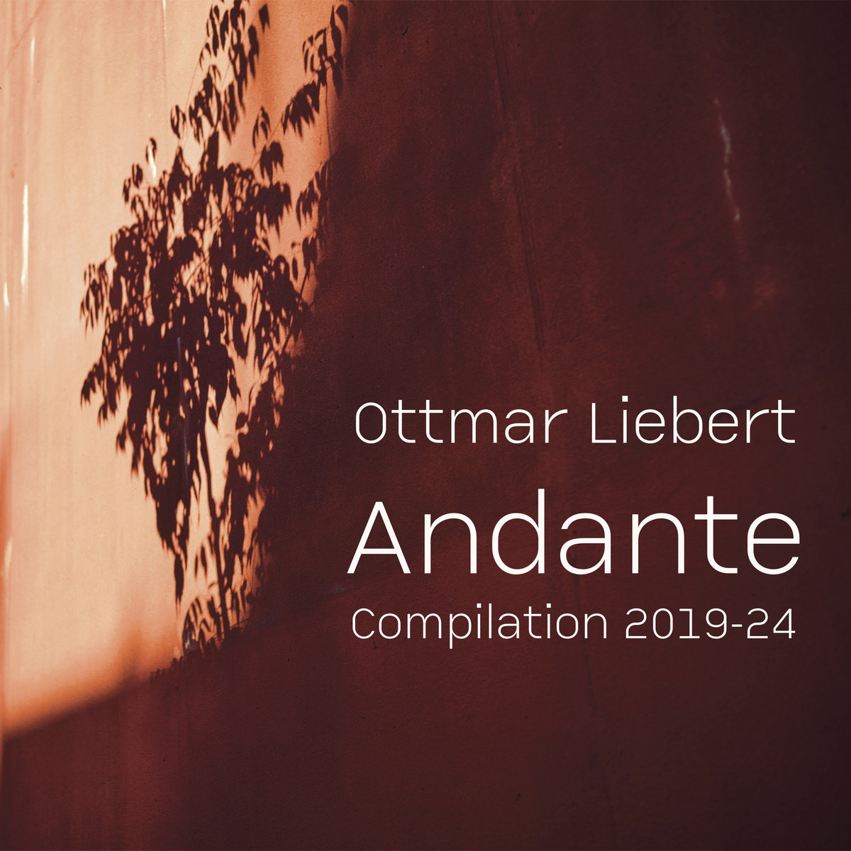 Andante | Ottmar Liebert