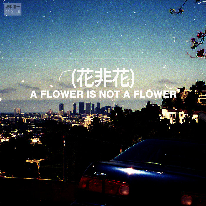 A Flower is Not A Flower | Jamin Reyes