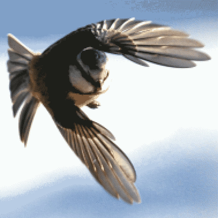 A Forbidding Exit From Sky | jamlid