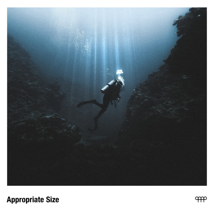 Appropriate Size | qqpp