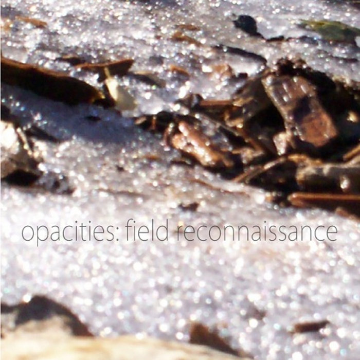 Field Reconnaissance | Opacities
