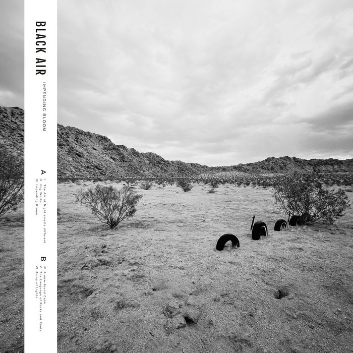 Impending Bloom | Black Air