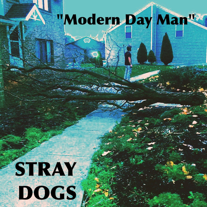 Modern Day Man | Stray Dogs