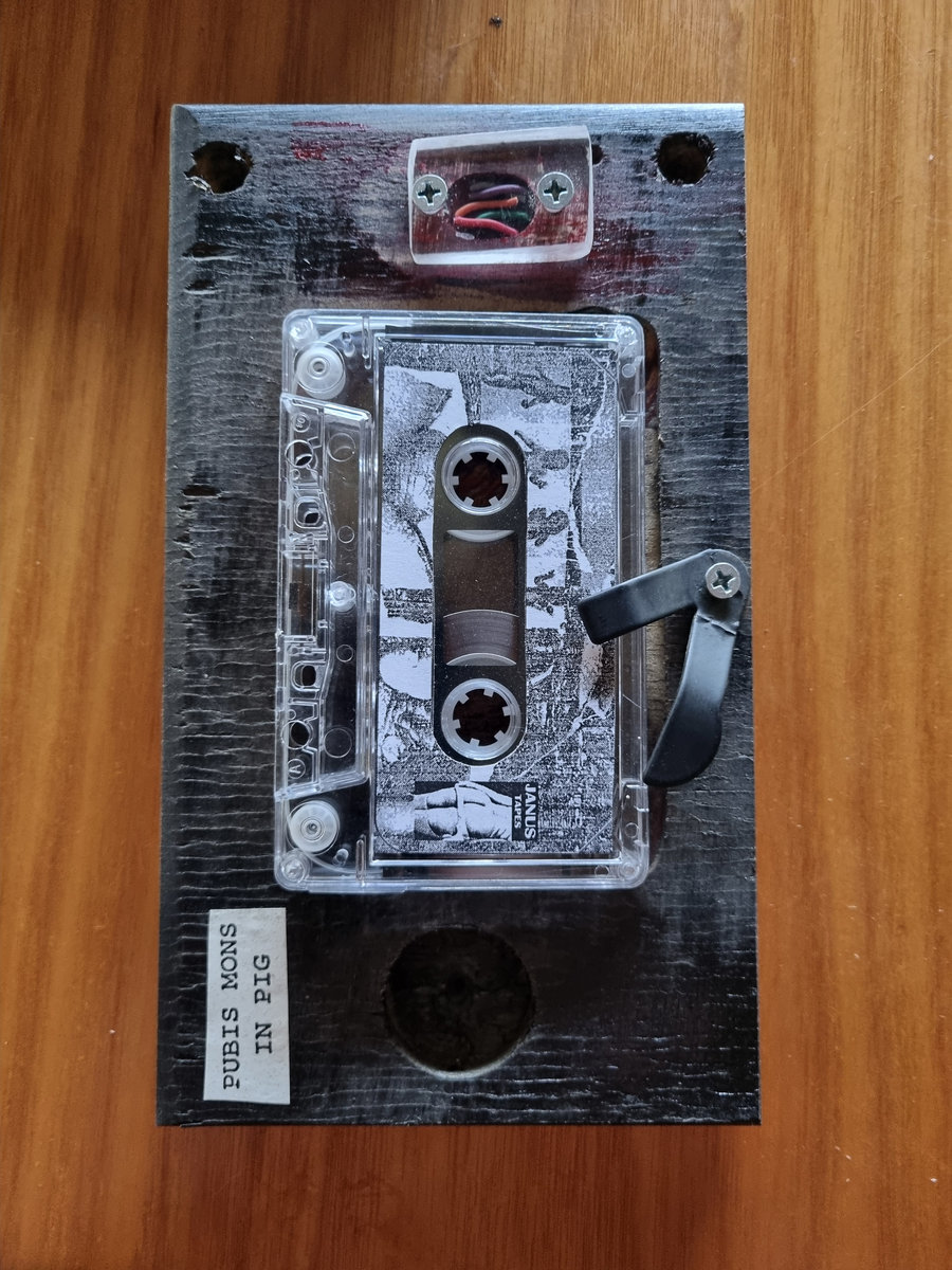 IN PIG | PUBIS MONS | Rod Cooper