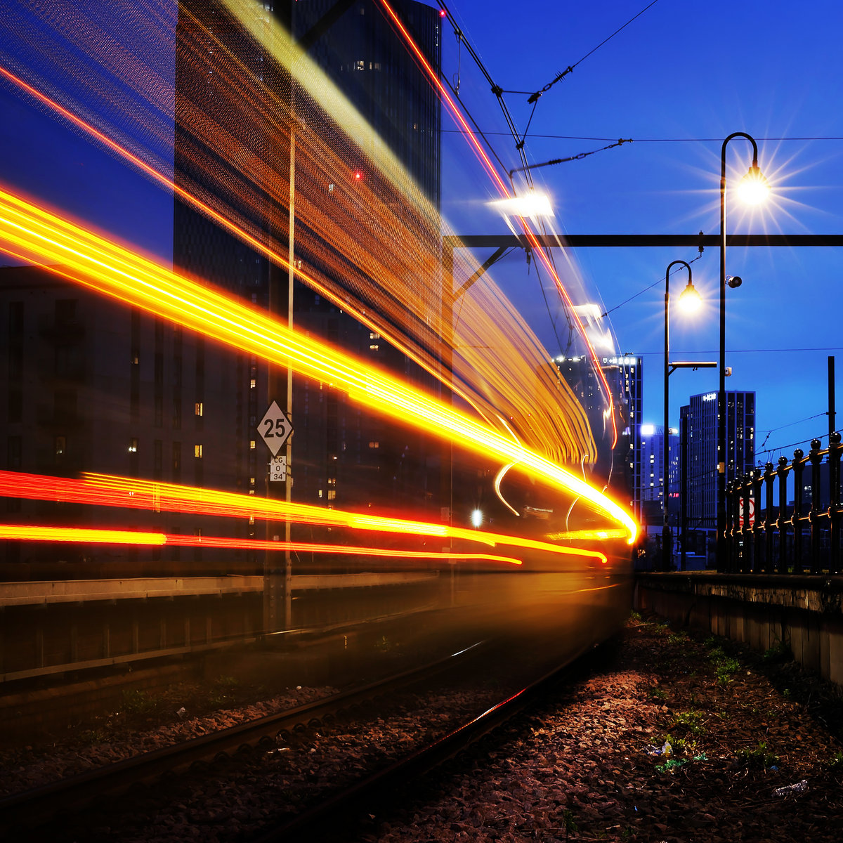 Twelve. Twenty-One. Twenty. Twenty-Five. | Passenger Pigeon