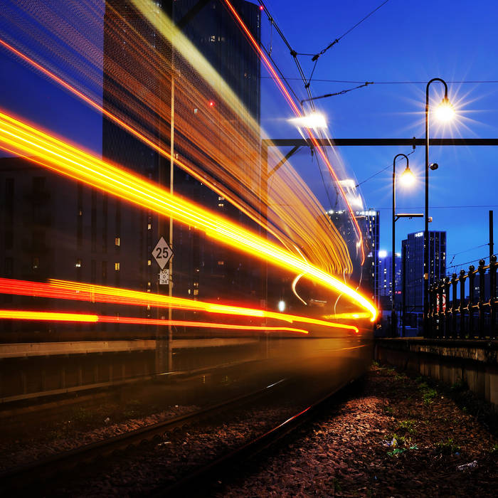 Twelve. Twenty-One. Twenty. Twenty-Five. | Passenger Pigeon