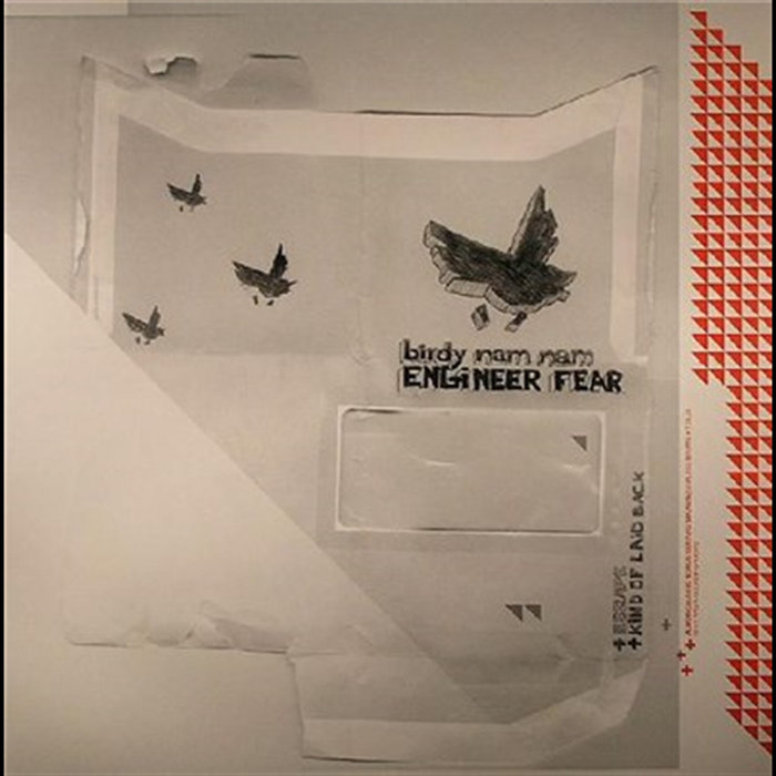 Engineer Fear EP | Birdy Nam Nam