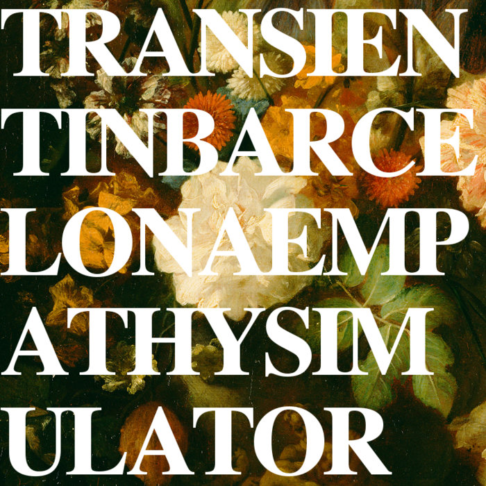 Empathy Simulator | Transient In Barcelona