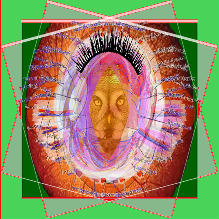 Dayocrap | Duo Dacryops | MakeWorldGooderRecordings