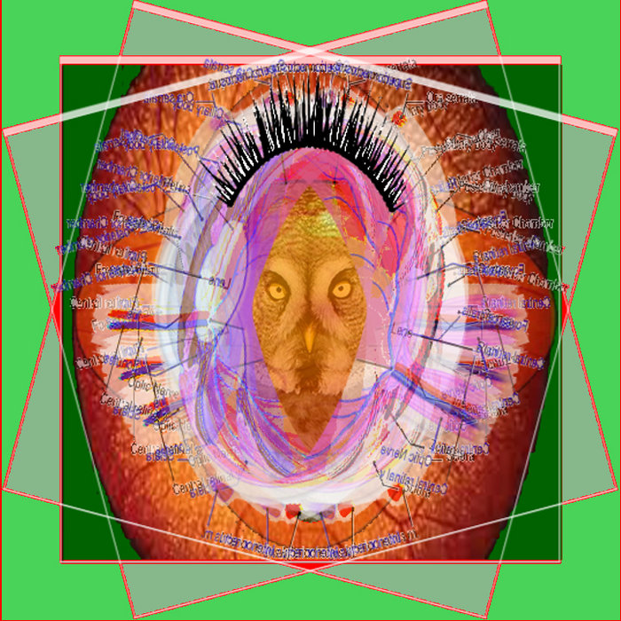 Dayocrap | Duo Dacryops | MakeWorldGooderRecordings