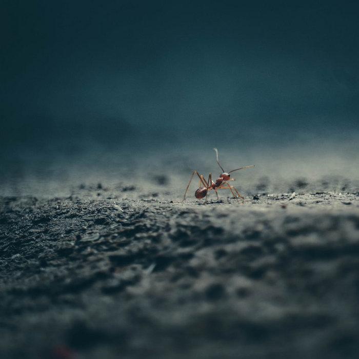 watching & waiting | bendle & the holy rhythm orchestra | bendle