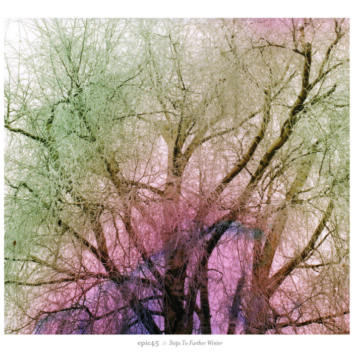 Steps To Further Winter | epic45 | Wayside & Woodland Recordings