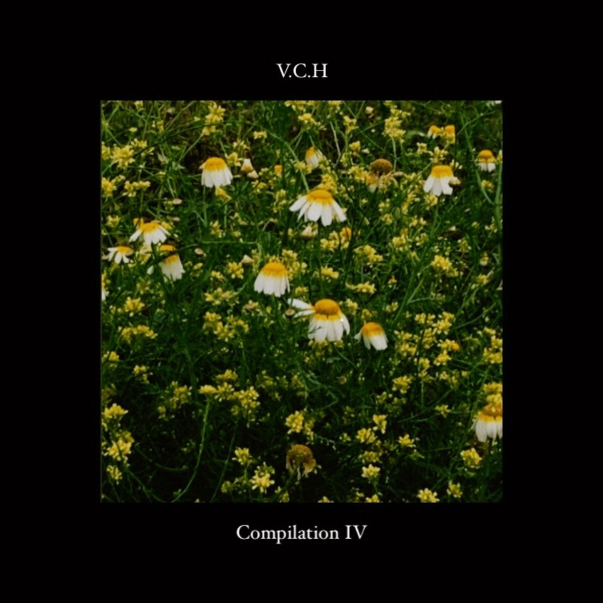V . C . H. Compilation IV | V.C.H.