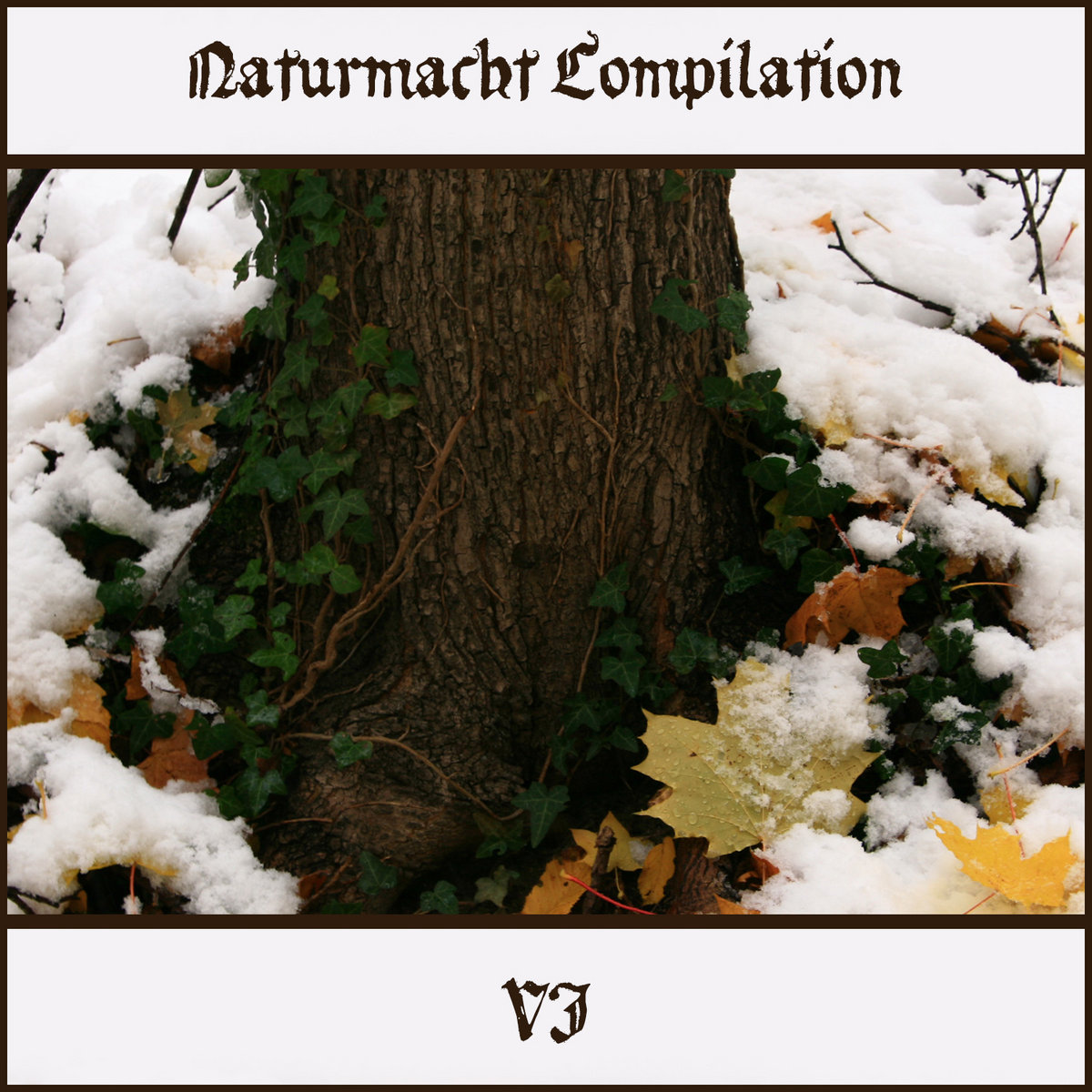 Naturmacht Compilation VI | Naturmacht Productions