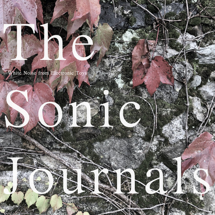 The sonic journals | White Noise from Electronic Toys