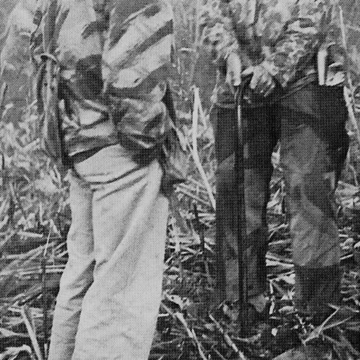 [DPM-1] | POISON WAVE