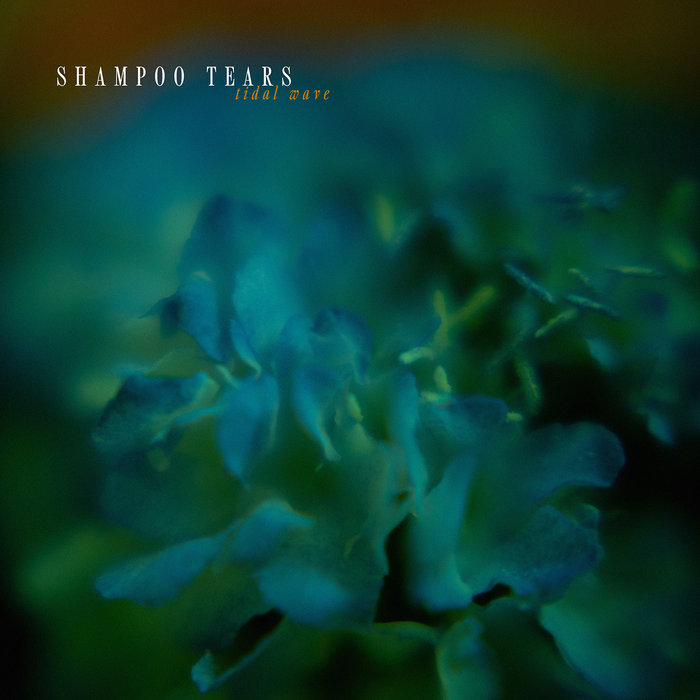 Tidal Wave | Shampoo Tears | Shore Dive Records