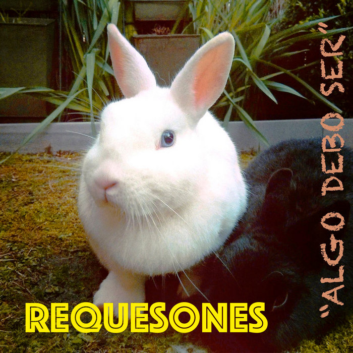 ALGO DEBO SER | REQUESONES | Requesones