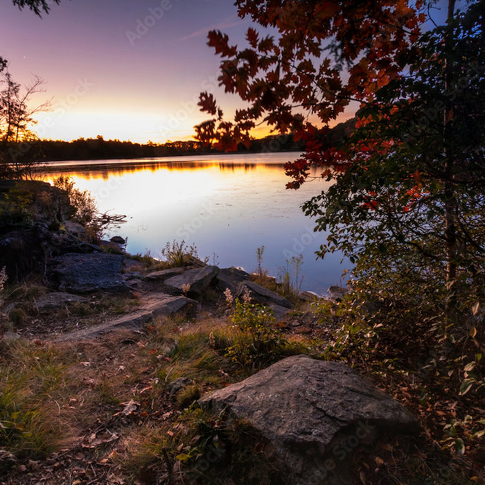 An Autumn Night | David Shea