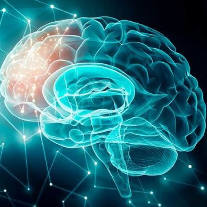 IQ Blast Pro: Boost Your IQ with Innovative Challenges | IQ Blast Pro