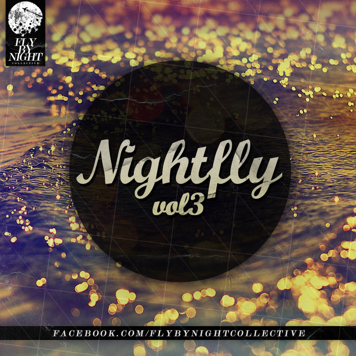 Nightfly Vol. 3 | Fly By Night Collective