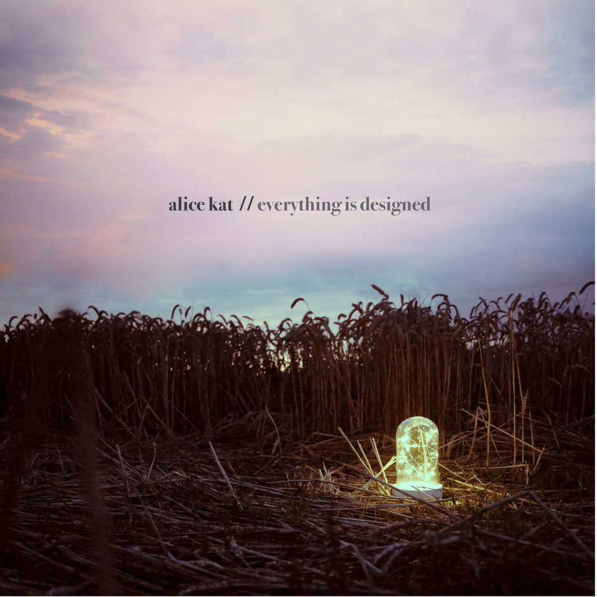 Everything is Designed | Alice Kat