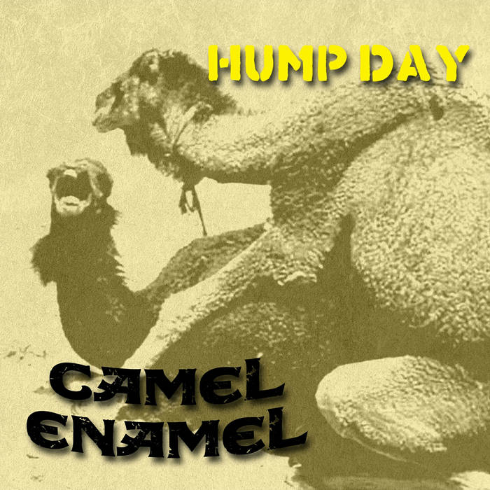 Joe Camel Hump Day