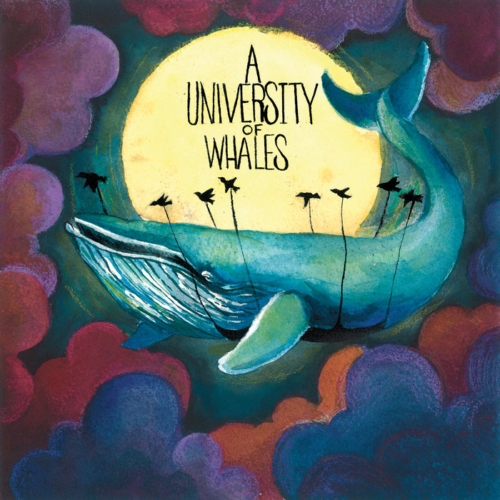 A University of Whales | A University of Whales