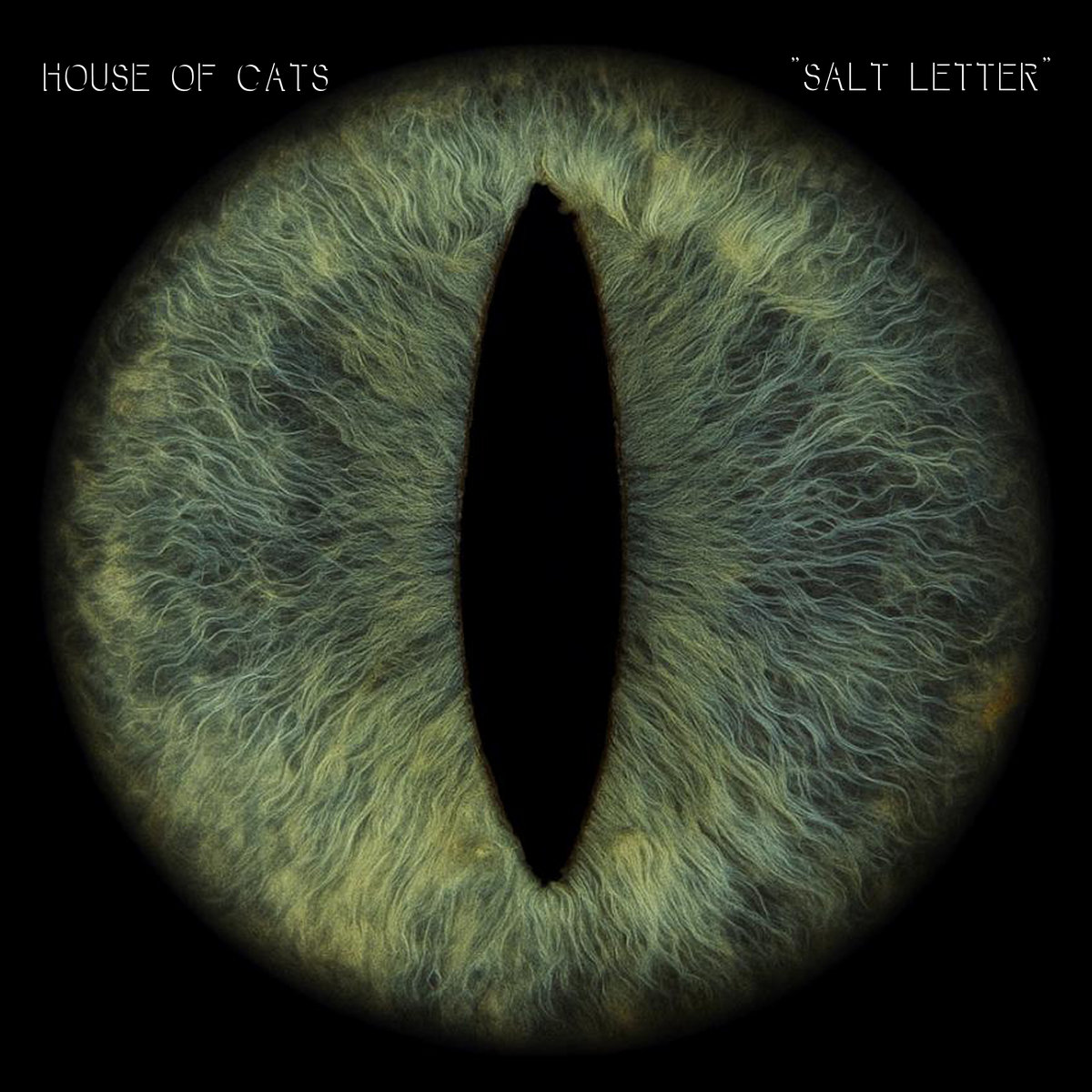 Salt Letter | House of Cats