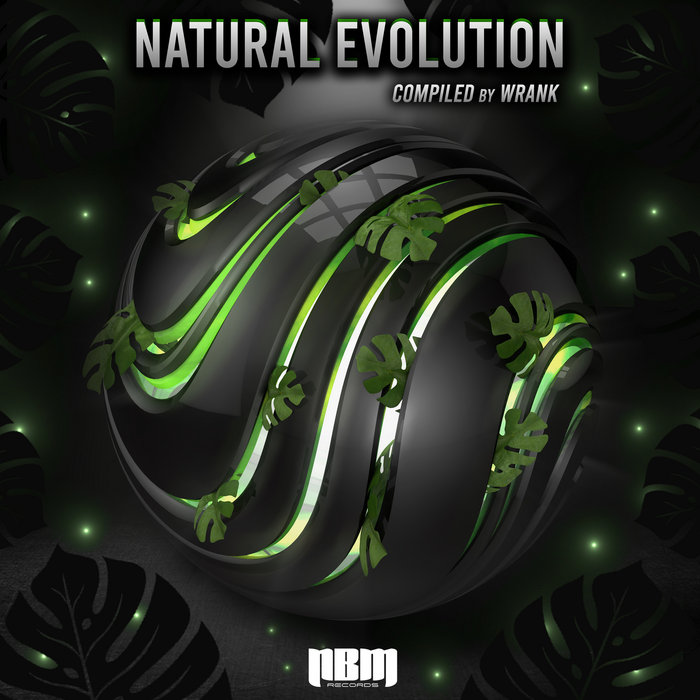 VA - Natural Evolution (Compiled by Wrank) | NBM Records
