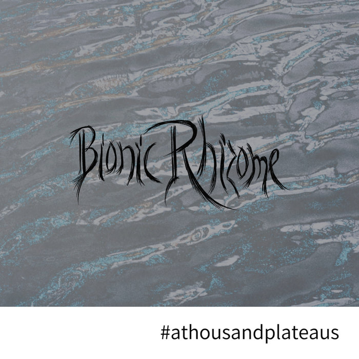 A Thousand Plateaus | Bionic Rhizome